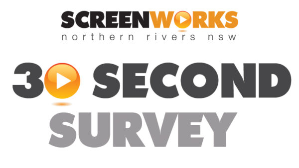 30 second survey - Screenworks