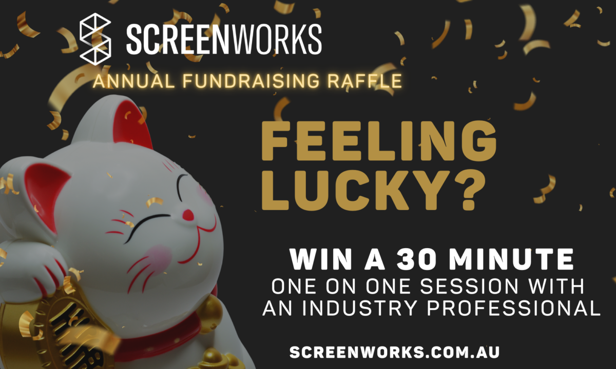 Screenworks Annual Fundraising Raffle 2023/24 - Screenworks
